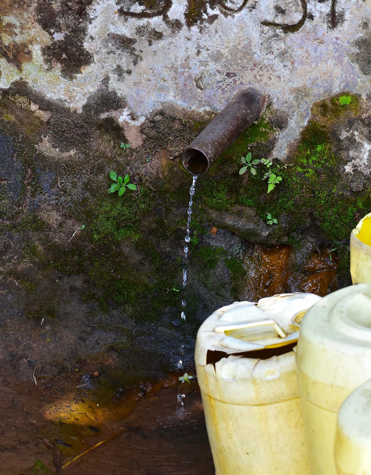 Sustaining Lives, Safeguarding Ecosystems | About Us